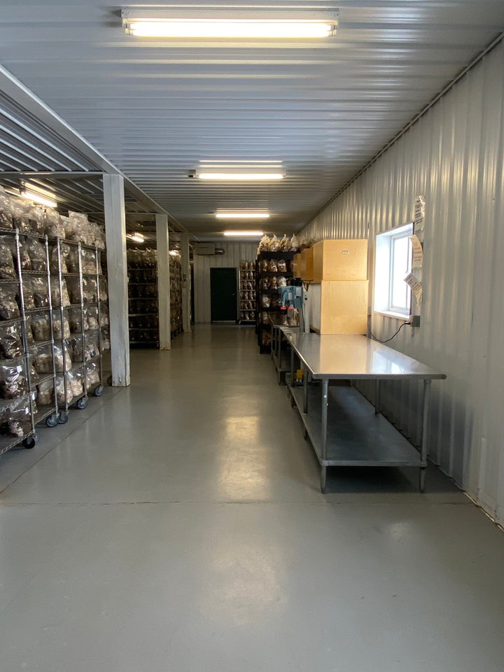 Winter Workshop Series – Mycoterra Farm